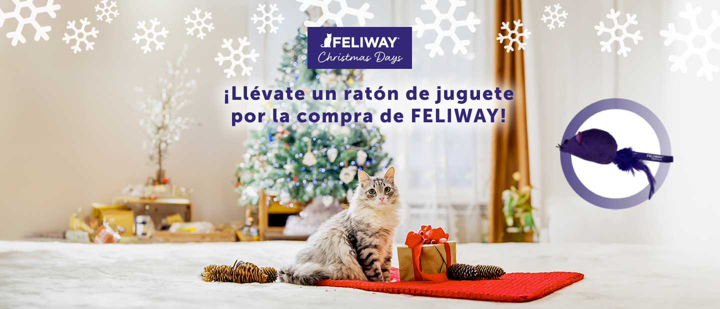 FELIWAY para gatos – Feliway ES